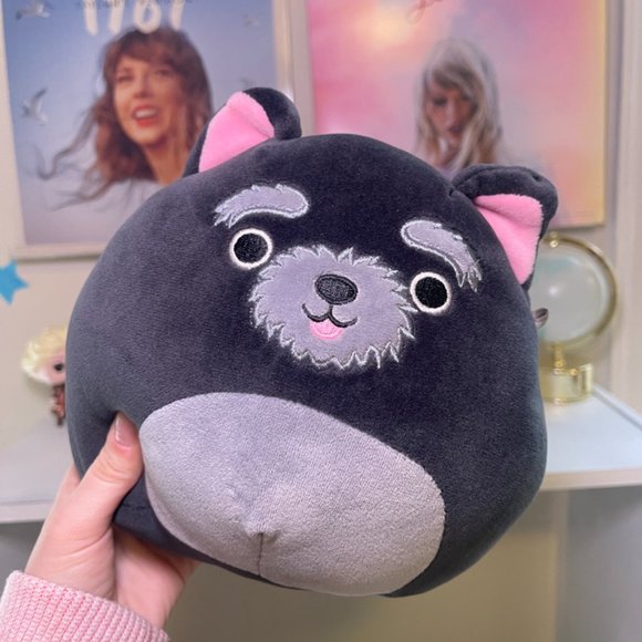 Squishmallows | Toys | Squishmallow Chuy The Black Dog | Poshmark